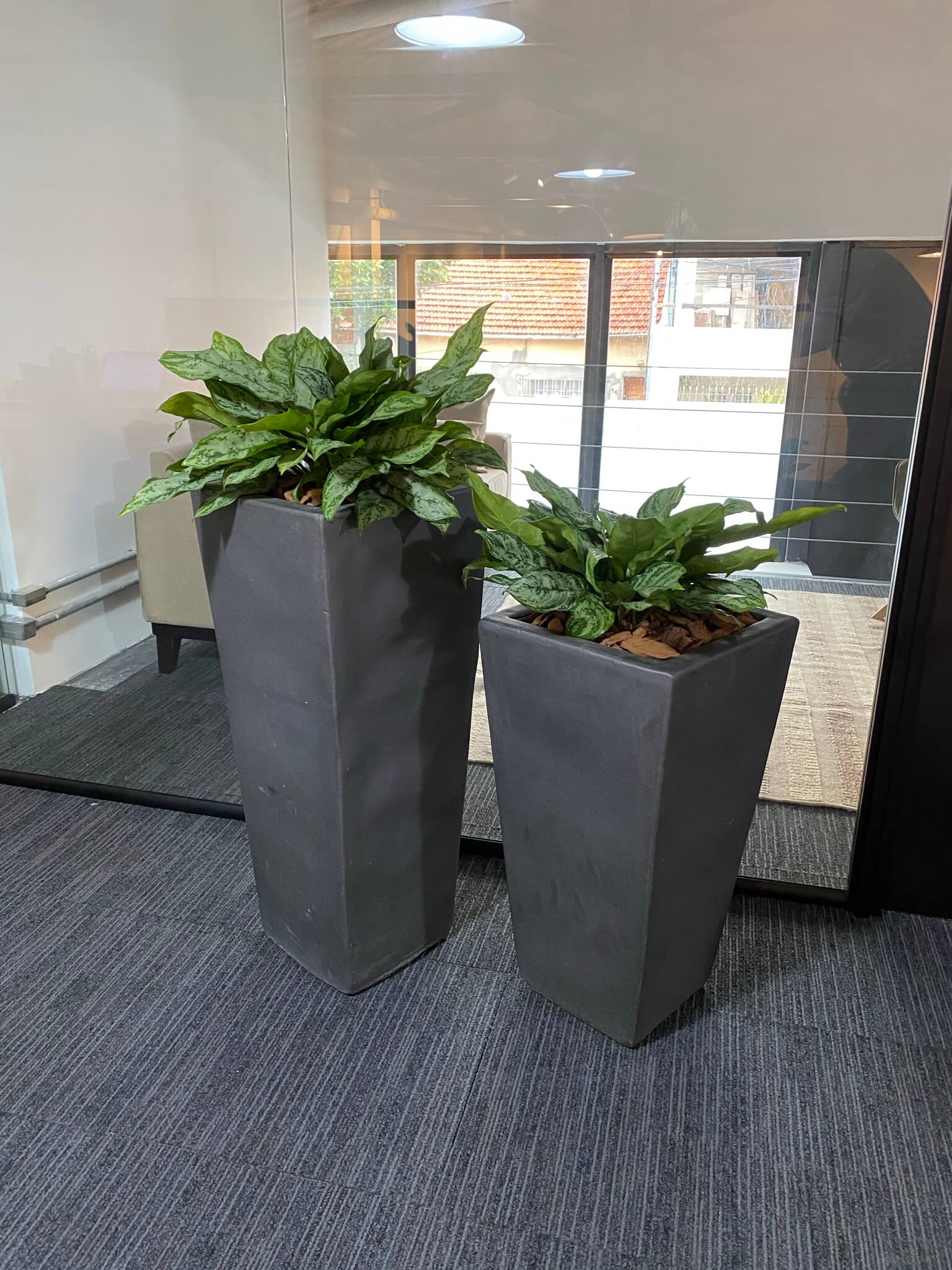 MolenPlanten - Especialista em Hidrocultura